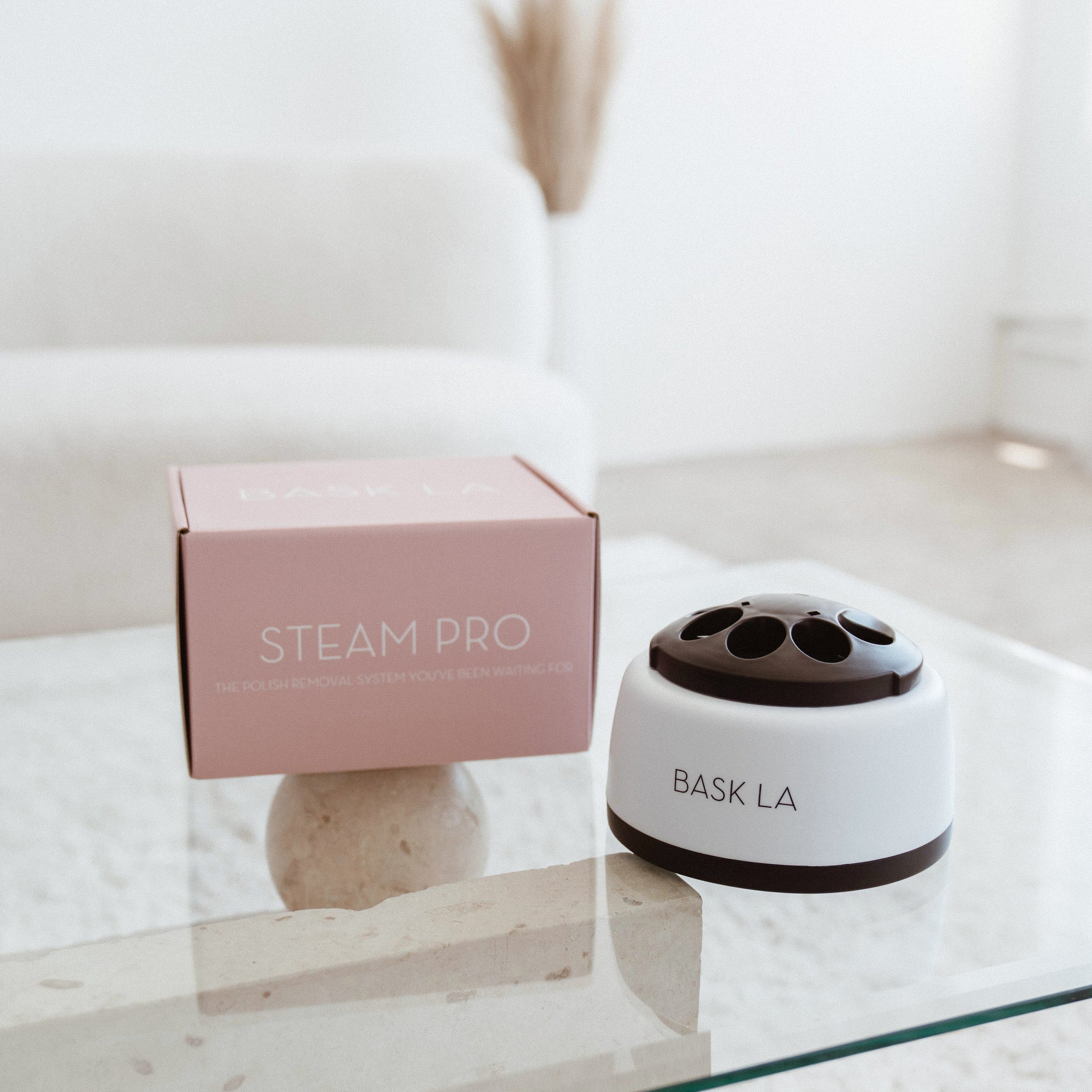 Steam Pro – BASK LA